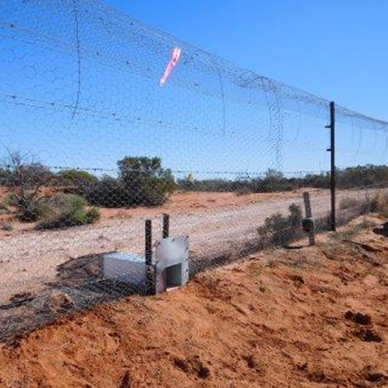 Arid Recovery - Testing a simple solution to overabundance